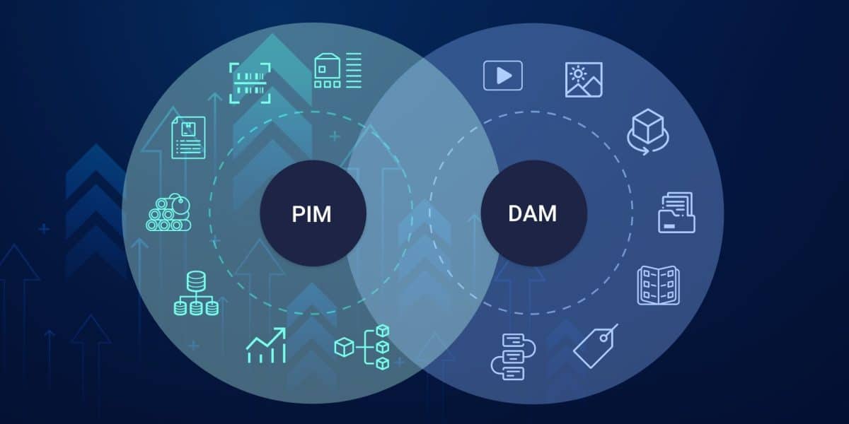 PIM & DAM: Differences and their successful combination