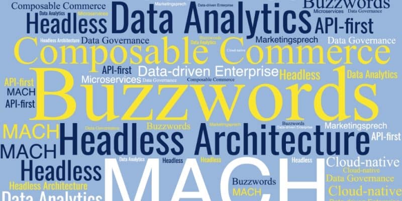 ePaper: Buzzword Jungle - Die wichtigsten Trendthemen erklärt